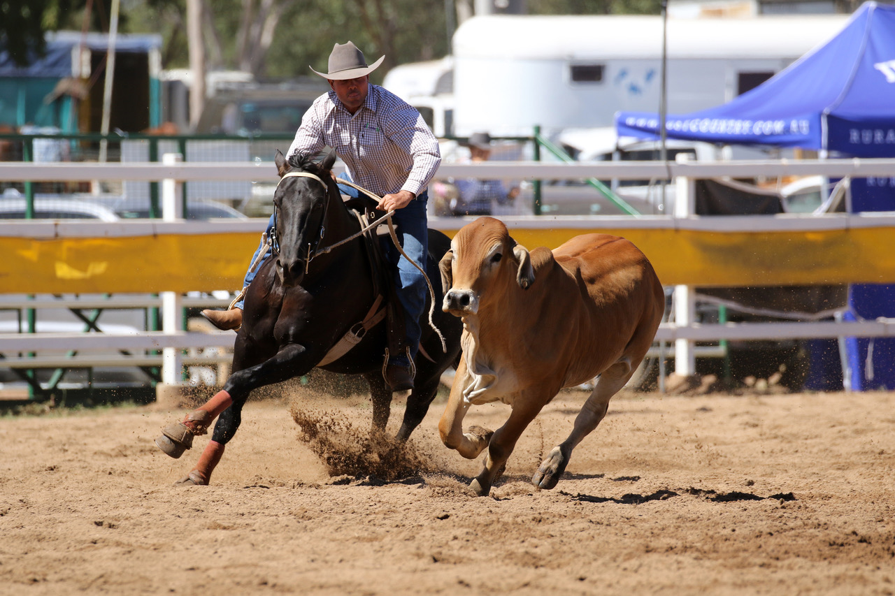 Support Us | equiprove