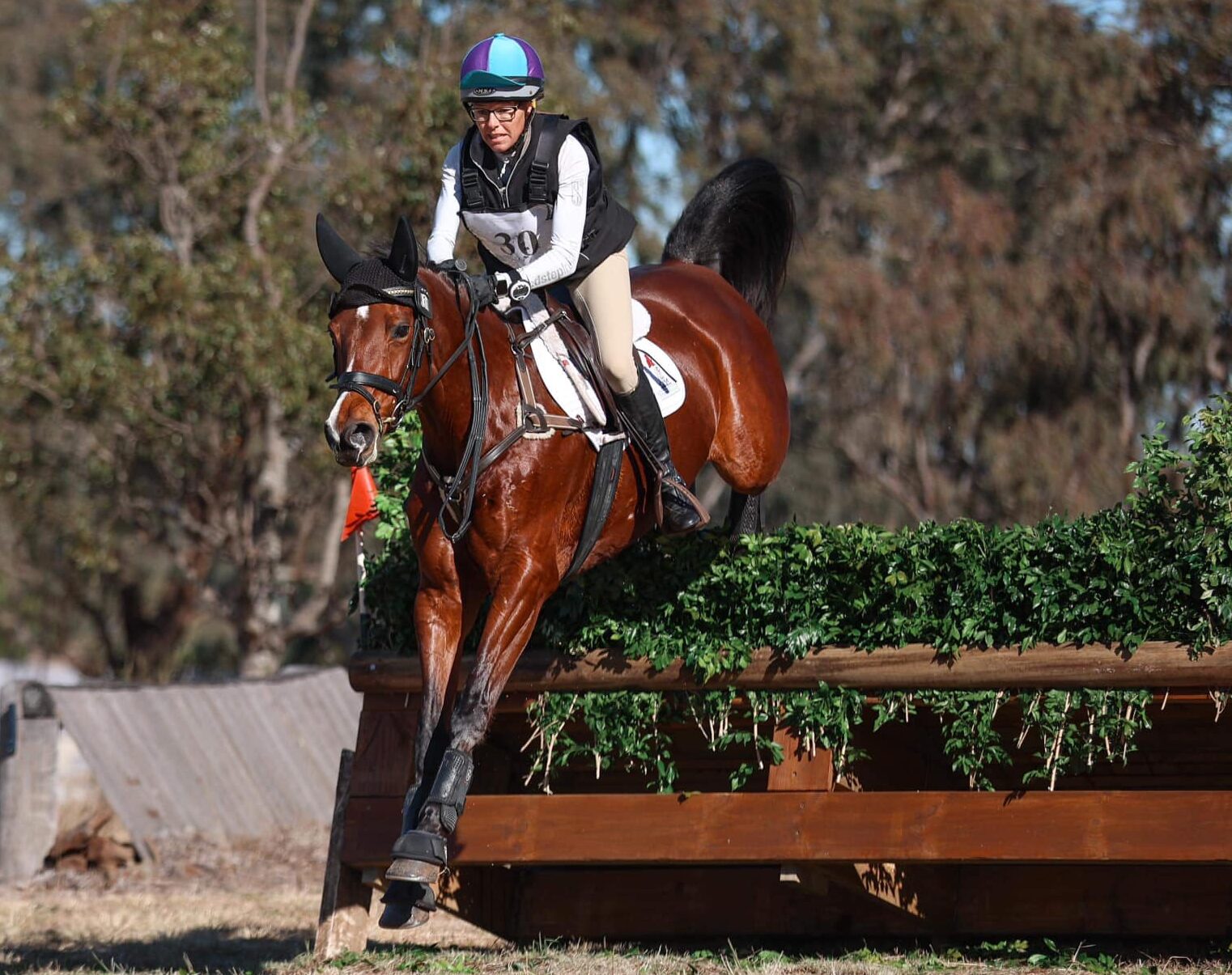 about equiprove | Equestrian Data Management